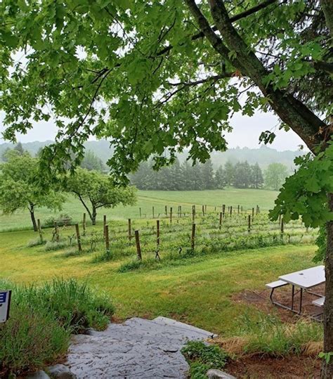 Sex Bubbly For Valentines Day Biscuits And Bubbly