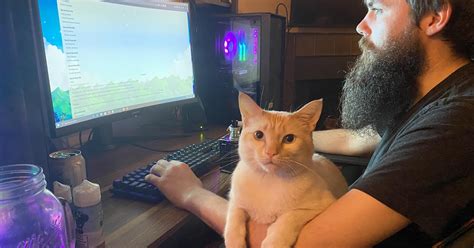 Toby Is My Fiancés Faithful Shadow