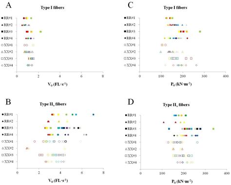 Evidence For Actn3 As A Speed Gene In Isolated Human Muscle Fibers Pmc
