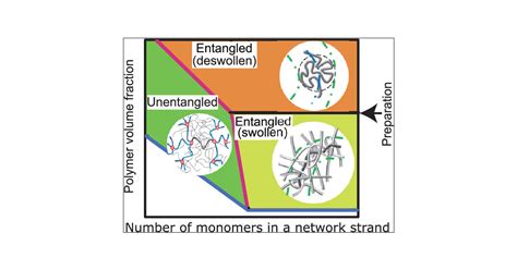 Macro Scale Network At Kenneth Mcgray Blog
