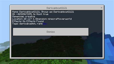 Darkoak Essentials Minecraft Bedrock Scripts Curseforge