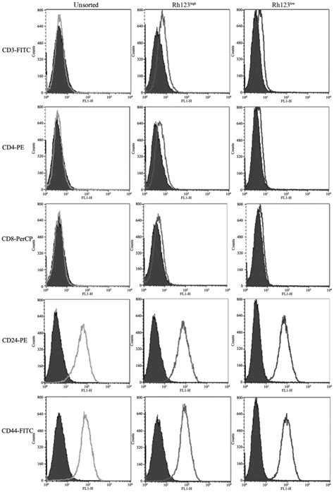 Screening For Cell Surface Markers Sorted And Unsorted Cells Were Download Scientific Diagram