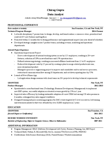 technical program manager pdf computer science business