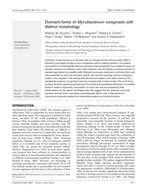 Pdf Dormant Forms Of Mycobacterium Smegmatis With Distinct Morphology