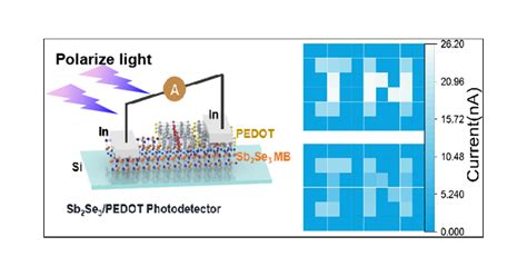 Sb2se3 Microbeltpedot Heterojunction For A Self Powered Visible To