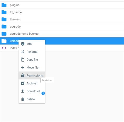 Fix File Permission Issue In Apache Website Wordpress Not Writable To 775 Wordpress Theme