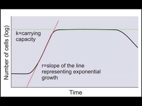 Dropping Science On Your Developer Ecosystem Lessons From Ecosystem