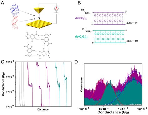 Mapping Dna Conformations Using Single Molecule Conductance Measurements