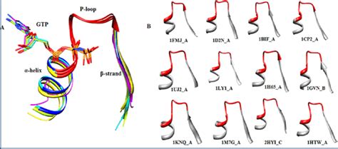 A Ribbon Diagram Of Typical Architecture Of P Loop Red With Bound Download Scientific
