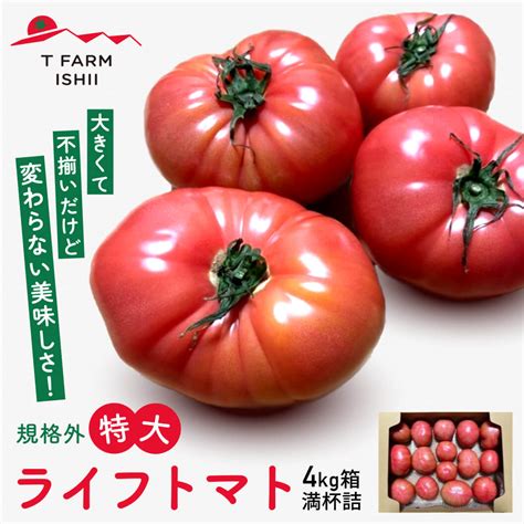 Tファームいしい｜徳島県産の桃太郎トマト｜オンラインショップ