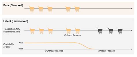 customer lifetime value prediction with pymc marketing towards data