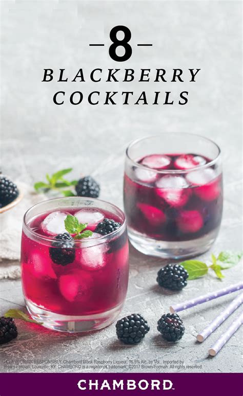 20 Blackberry Alcoholic Drinks Refreshing Fruity Cocktails