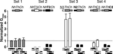 the n terminal transmembrane and c terminal segments control maximal