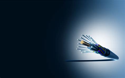 Ciociola Unternehmensgruppe Linkedin