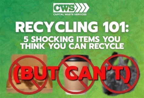 Convenient Trash Compactor Guide