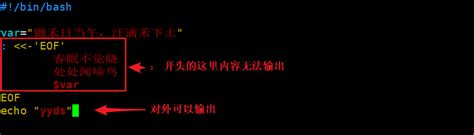 Shell编程之免交互 （不要再让你的双手过度劳累了） 隐姓埋名4869 博客园