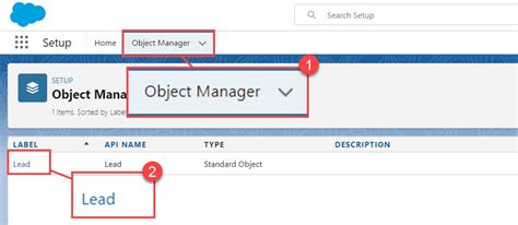 Salesforce Isclone Function