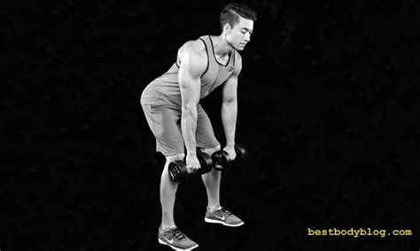 5 Кращих Вправ На Спину З Гантелями Тренувальний Комплекс