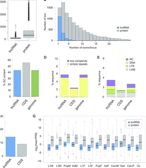—transcript Sequence And Expression Properties Of D Pseudoobscura