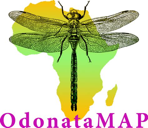 Download Inmage Size Reduced Png Image With No Background