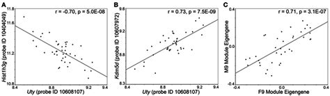 Genetic Correlation Between Transcripts And Modules In The Male