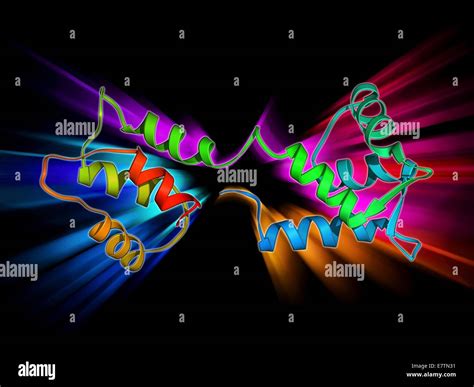 Calcium Binding Protein Molecule Model Of The Calcium Binding Protein