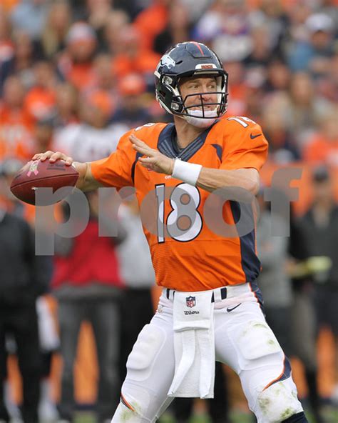 My First Gallery Adam Bratten