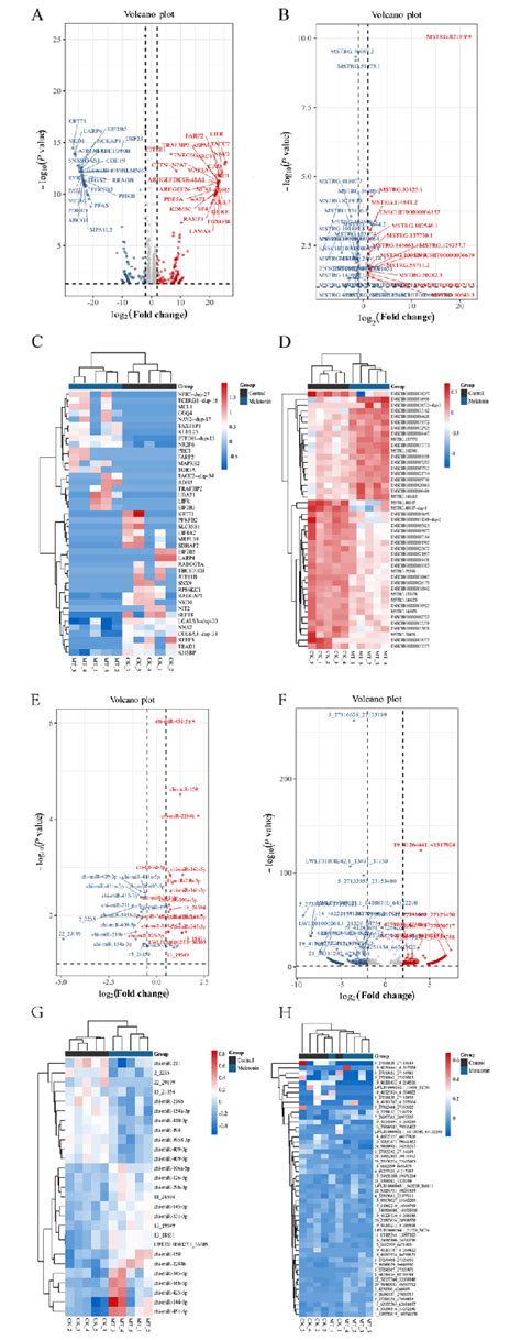 differentially coding and non coding gene expression in skin tissue