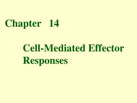 Ppt Chapter 14 Cell Mediated Effector Responses Powerpoint