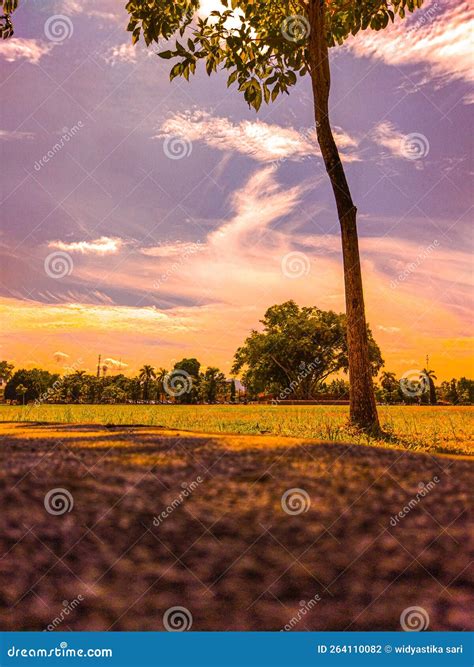 Morning View Edit To Looks Like Sunset By Amateur Stock Photo Image Of Edit Like