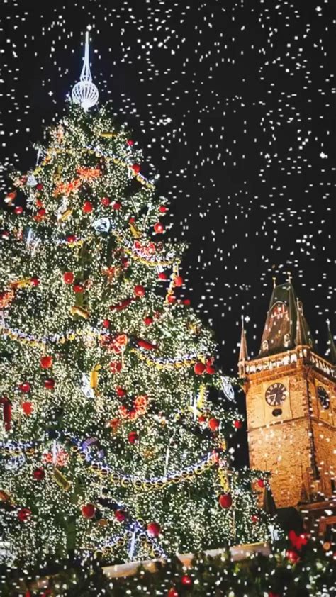 Merry Christmas Eve  Merry Christmas Eve Nativity Discover Share