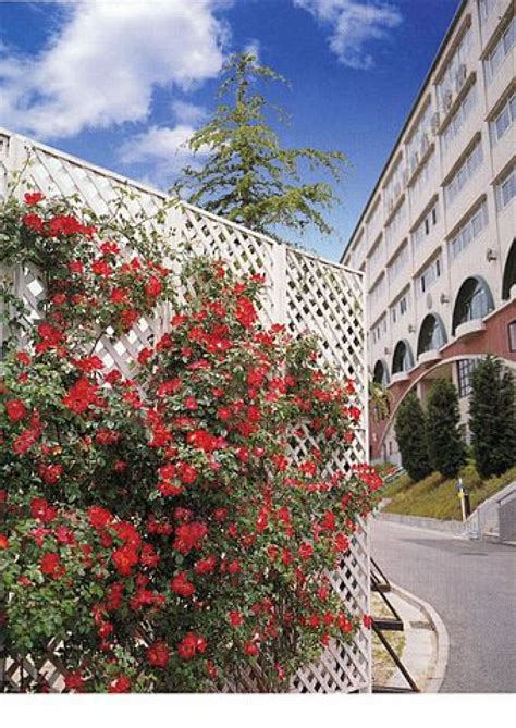 日生学園第三高等学校 兵庫県姫路市の私立高校｜学校ナビ