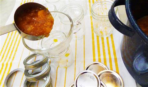 Ruth Guerri