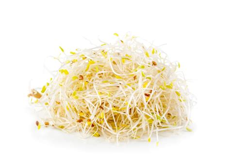 Alfalfa Sprouts Nutrition Facts Health Benefits And Safe Growing Guide