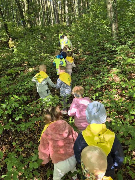 Pohod Do Gozda Enota Pastirček Vvz Kekec Grosuplje