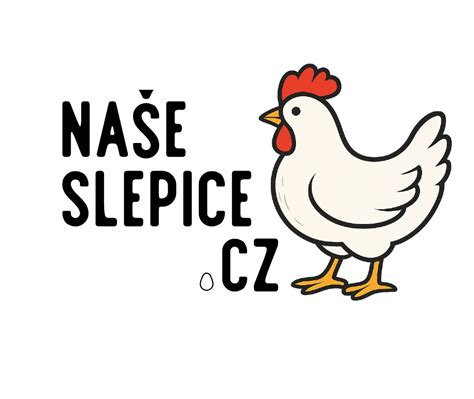 Takto Slepičky Ukazují že Vám Začínají Důvěřovat 🐥💛 Od Pamlsku V Dlani Až Po To že Se Samy