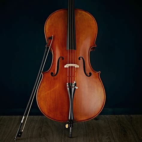 Difference Between Cello And Upright Bass At Luke Cornwall Blog