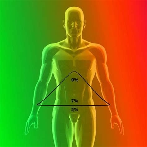 Assessment Of A Proposed Bmi Formula In Predicting Researchbunny