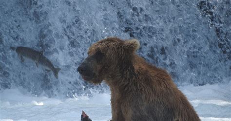 Debby Does Destinations Debby Does Destinations Travel