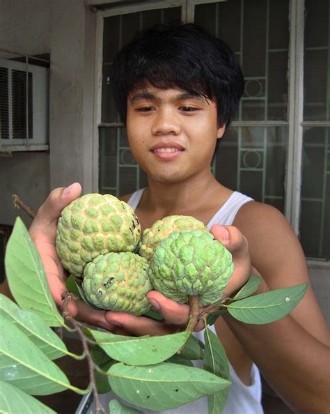 Living With Nature School On Blog By Dr Abercio V Rotor Atis