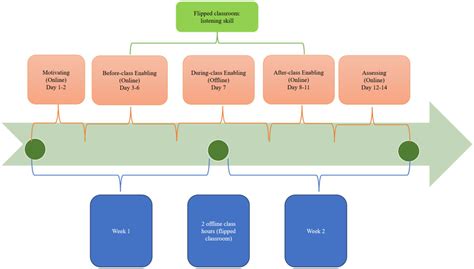 Timeline Of The Teaching Procedures Download Scientific Diagram