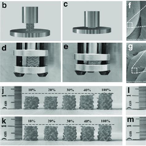 Compression Desorption A Compression Device B E Compression Download Scientific Diagram