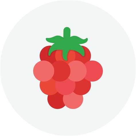 Raspberry Flat Circle 9570680 Vector Art At Vecteezy