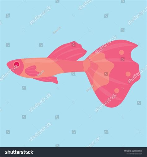 3 Gapi Stock Vectors And Vector Art Shutterstock