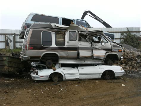 Squashed Like A Bug By Finhead4ever On Deviantart Squashed Like A Bug By Finhead4ever On Deviantart