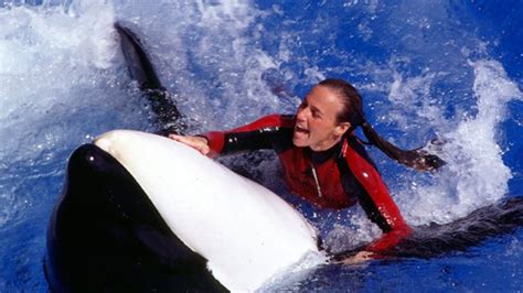 Deadly Attack Witness Statements Reveal How Whale Killed Trainer