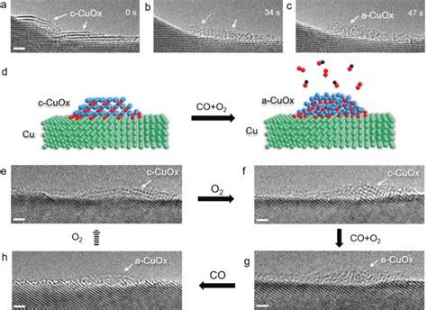 Atomic‐scale Dynamics Of Cu Oxide Under Co Oxidation Reactions