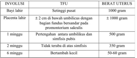 Laporan Pendahuluan Post Partum Nifas