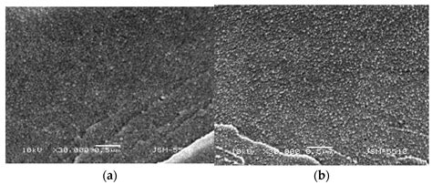 Ethyl Methacrylate Uses At Molly Nielsen Blog