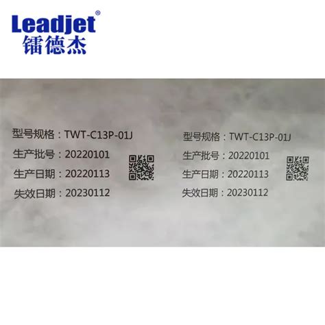Wuhan Leadjet Manufacturer High Quality G4i Printhead Data Matrix Dm